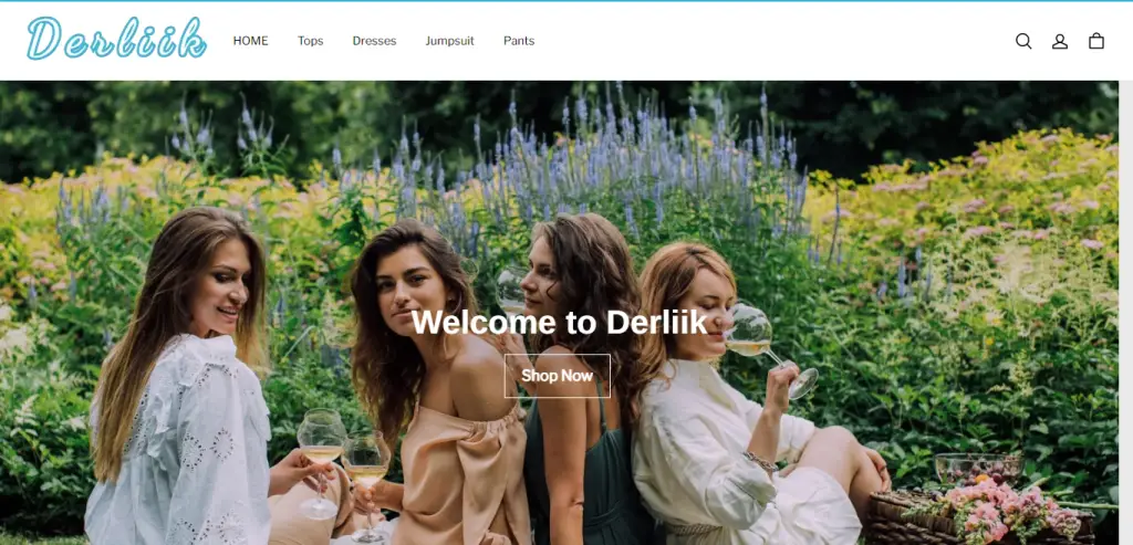 Derliik Review 2023: Beware of derliik.com! - eXploreRound